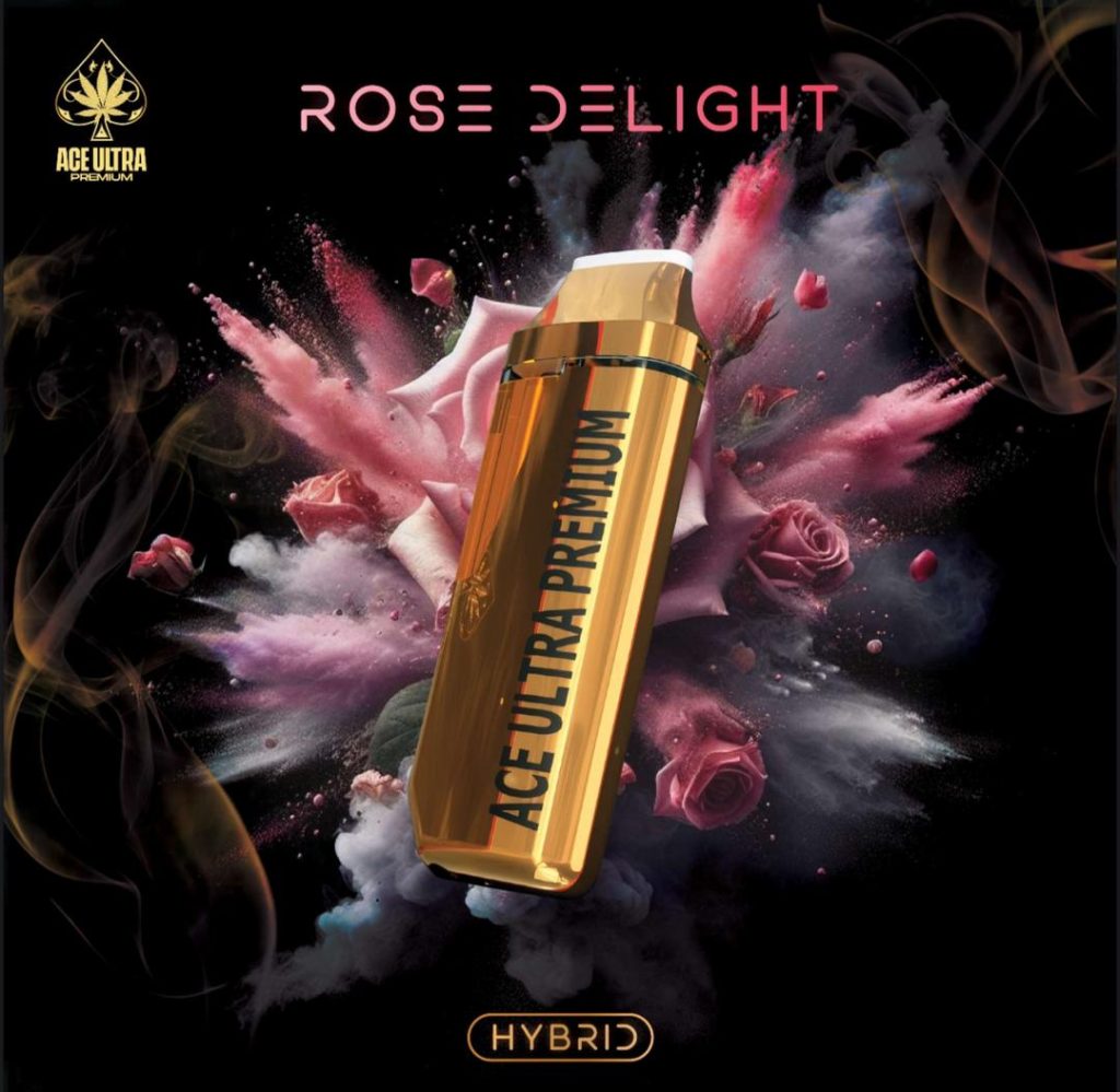 ROSE DELIGHT|HYBRID - ACE ULTRA PREMIUM